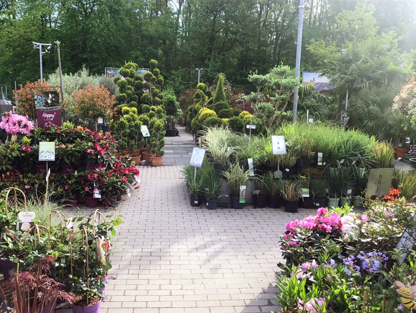 Baumschule im Gartencenter Köln nahe Dormagen
